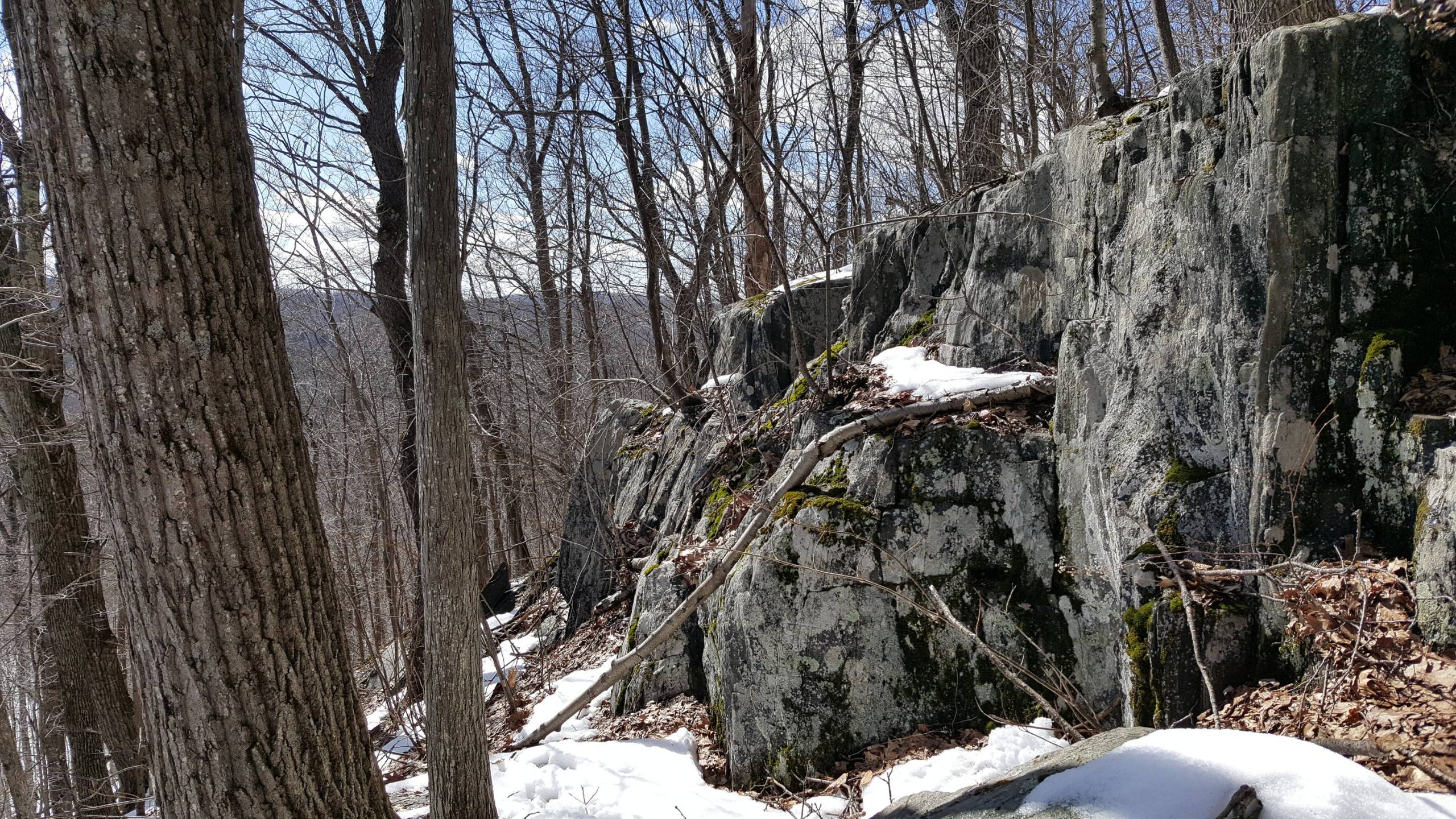 Western Mass Hilltown HikersHike the HilltownsTrail maintenance at ...