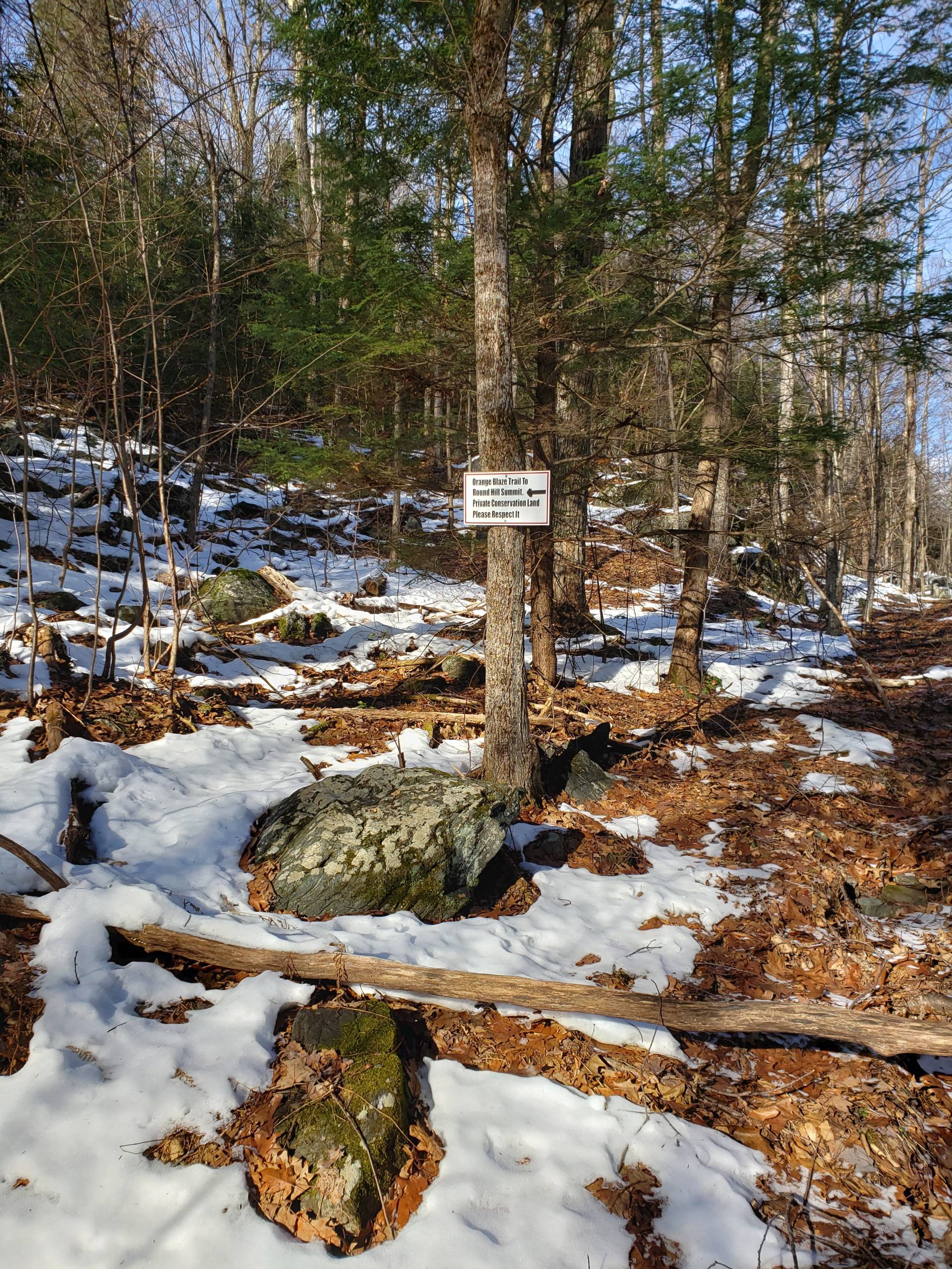 Western Mass Hilltown HikersHike the HilltownsRound Top Hill in Chester