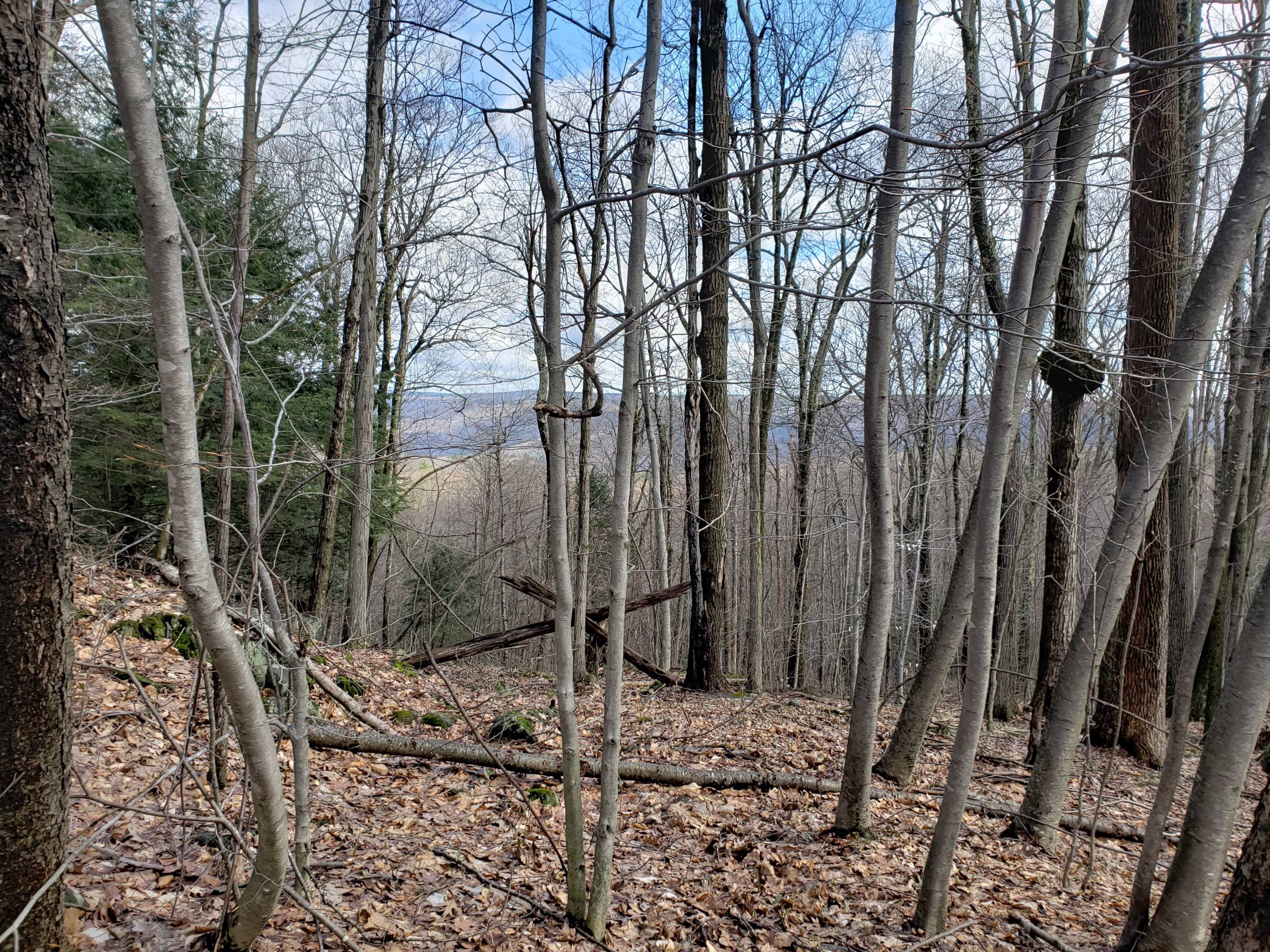 Western Mass Hilltown HikersHike the HilltownsRound Top Hill in Chester