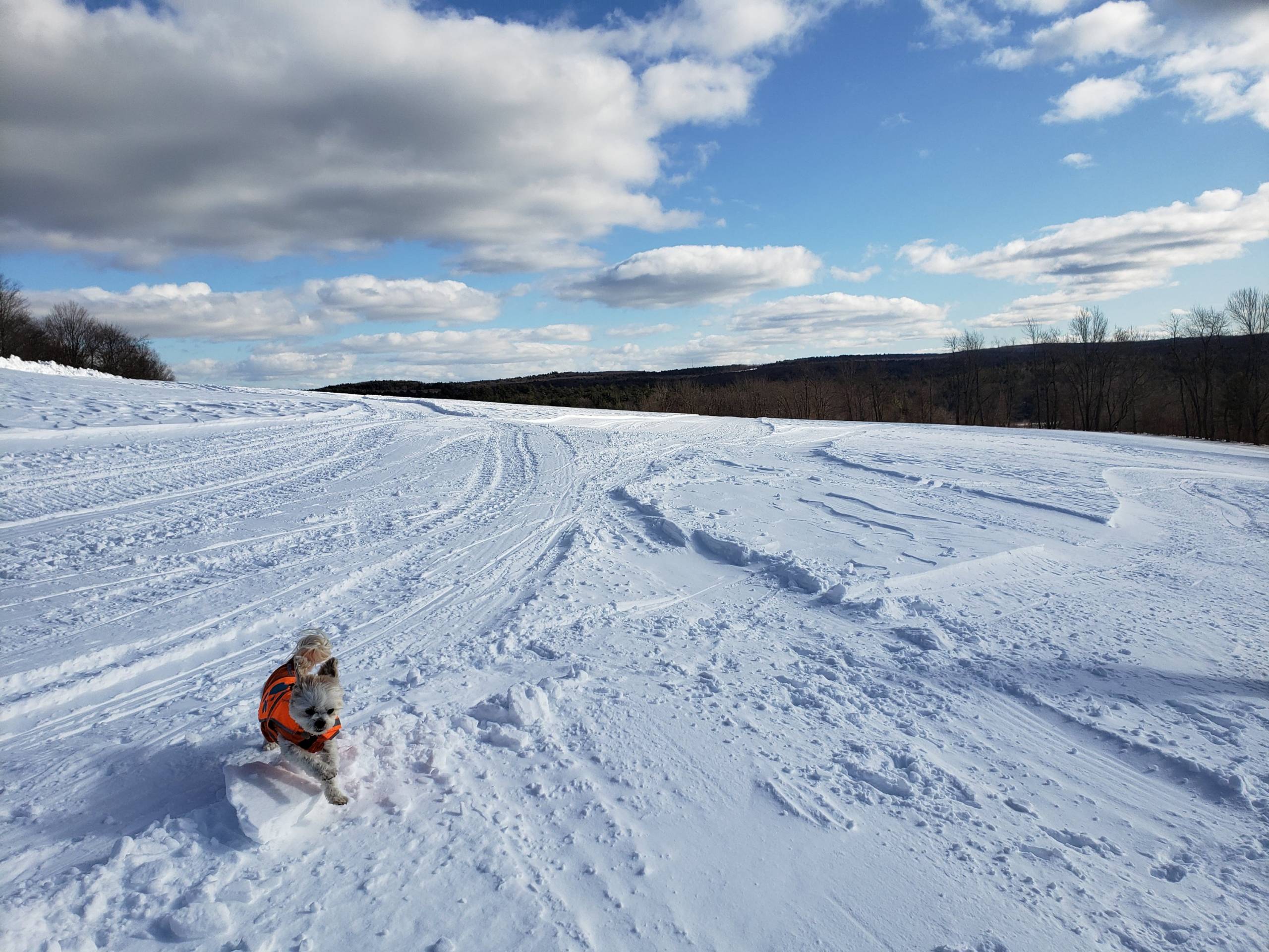 Western Mass Hilltown HikersHike the HilltownsMaple Corner Farm in ...