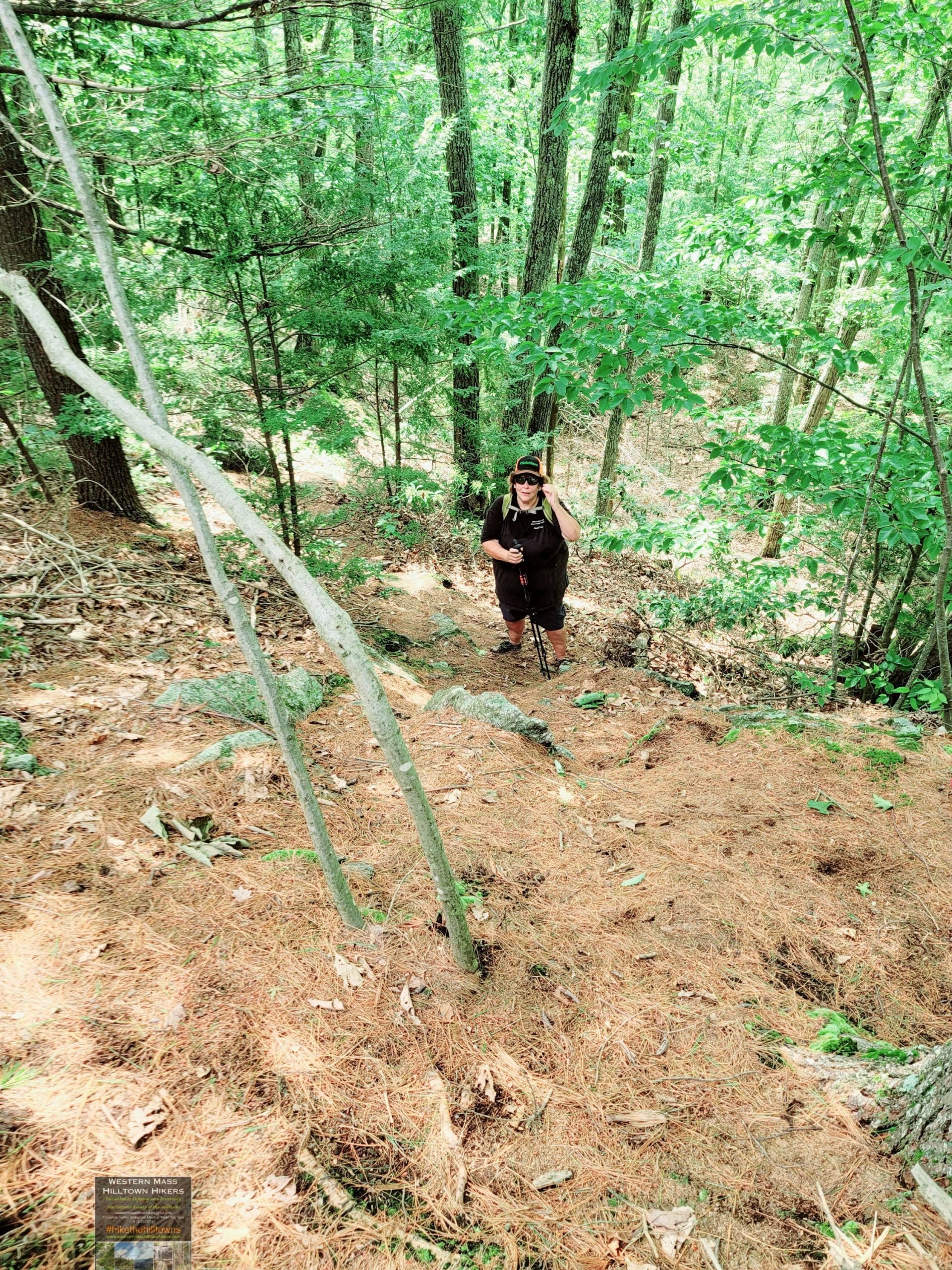 Western Mass Hilltown HikersHike the HilltownsTurtle Bend Mountain in ...