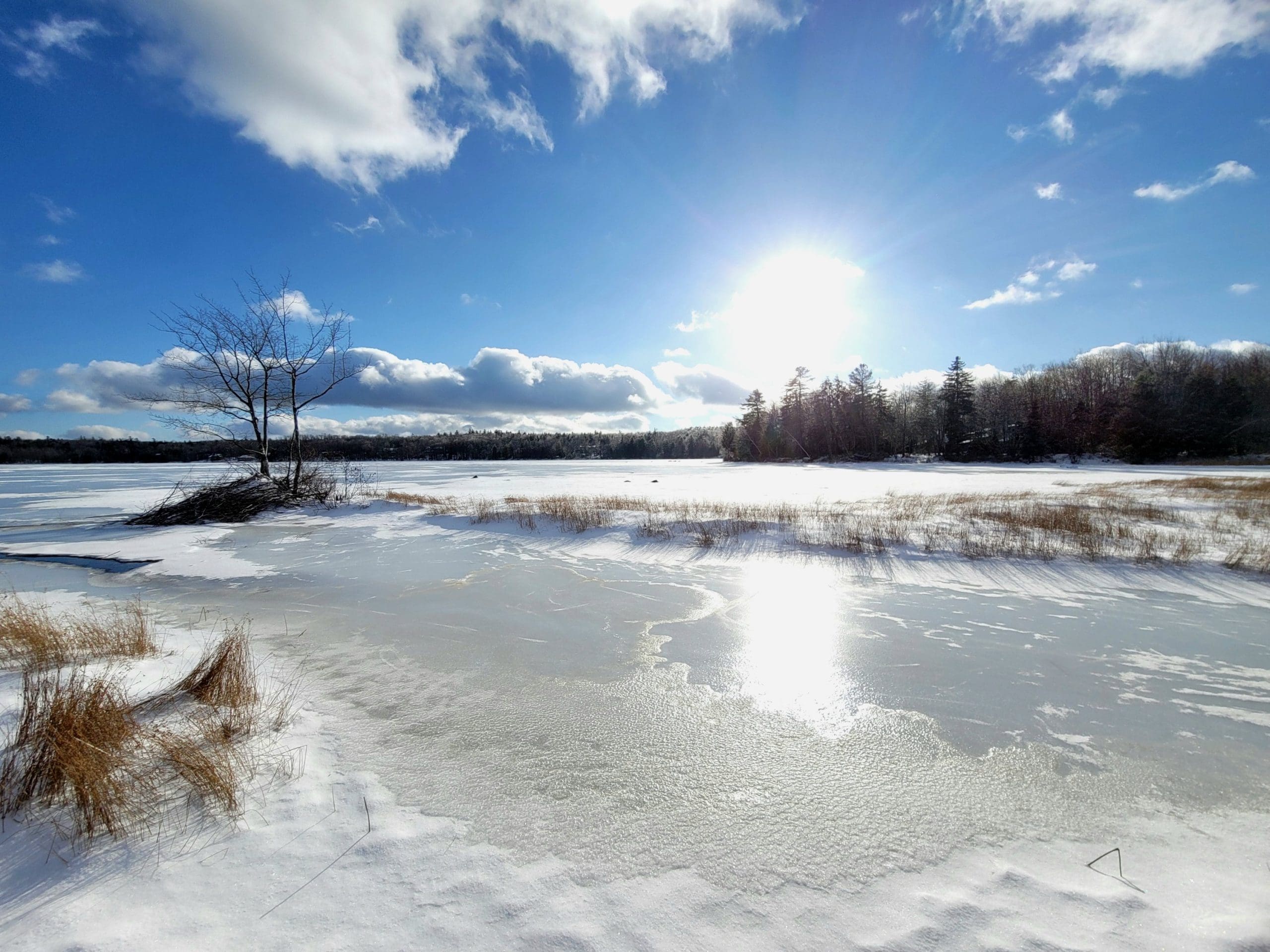 Western Mass Hilltown HikersHike the HilltownsYokum Pond in Becket