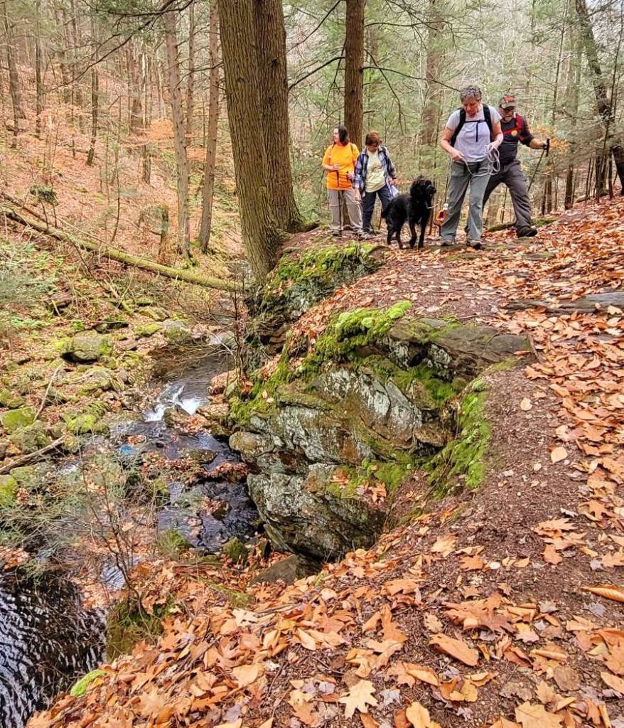 Western Mass Hilltown HikersHike the HilltownsRoaring Brook Trail at ...